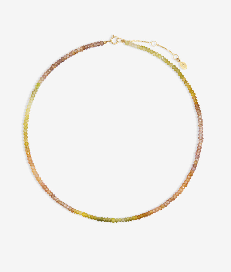 S H A S H I || Official Site