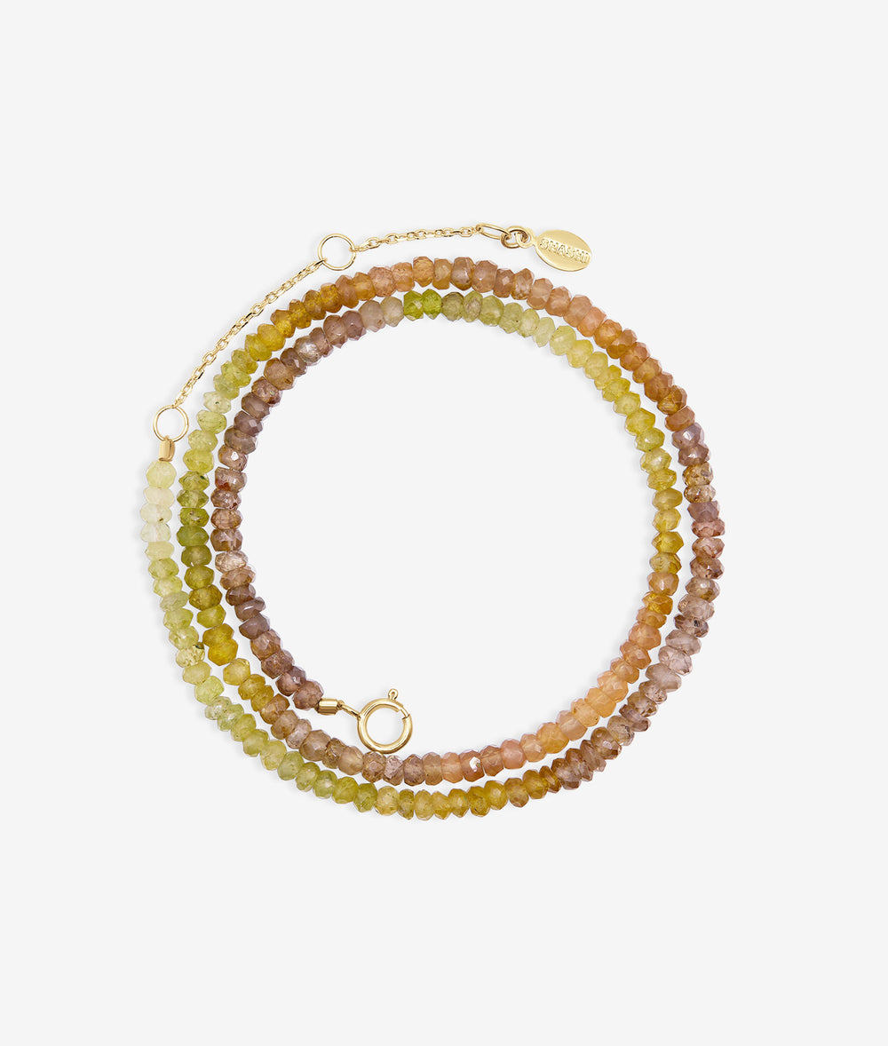 S H A S H I || Official Site